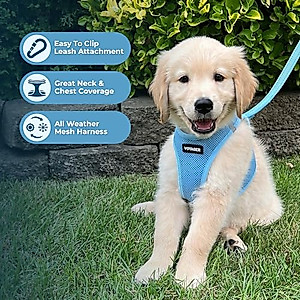 Voyager Step-in Air All Weather Mesh Harness and Reflective Dog 5 ft Leash Combo with Neoprene Handle, for Small, Medium and Large Breed Puppies by Best Pet Supplies - Set (Baby Blue), M
