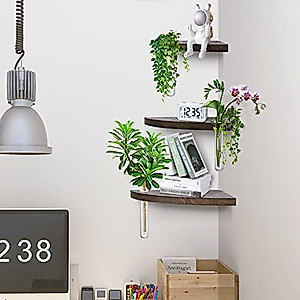 HYPOSFEE Corner Wall Shelf Set of 3, Floating Corner Shelves for Wall, Rustic Wood Wall Storage Display Shelves for Living Room Bedroom Bathroom Kitchen