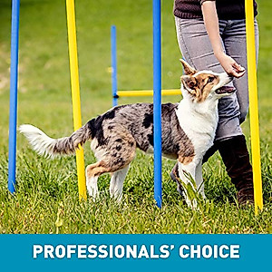 Cloud Star Tricky Trainers Crunchy Dog Training Treats 8 oz Pouch, Salmon Flavor, Low Calorie Behavior Aid with 450 treats