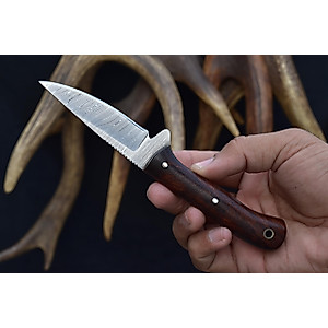 Knives Ranch 7" Fixed Blade EDC Knife with Sheath - Damascus Steel Hunting Knife - Full Tang - Rosewood Handle - Horizontal Carry Leather Sheath Snug Fit (3056-IRW)