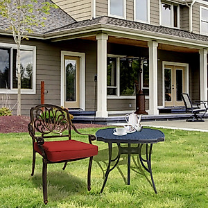 Sunshine Outdoor Indoor/Outdoor Patio Chair Cushion Outdoor Seat Cushions for Patio Furniture 20x20x2.8 inch Set of 4 Chili