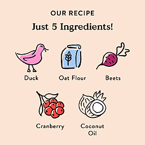 Bocce's Bakery Oven Baked Duck Recipe Treats for Dogs, Wheat-Free Dog Treats, Made with Real Ingredients, Baked in The USA, All-Natural Duck, Cranberry & Beet Biscuits, 14 oz