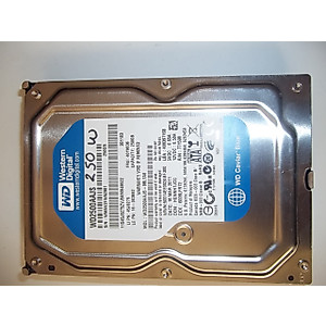 Western Digital WD2500AAJS 250 GB Caviar Blue Hard Drive