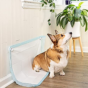 MYMOON HOME Pee PAD Holder (Pack of 2) – Works with Any Type of Wee Wee Pads for Easy cleanup of Marking and Leg Lifting Dogs. (White)