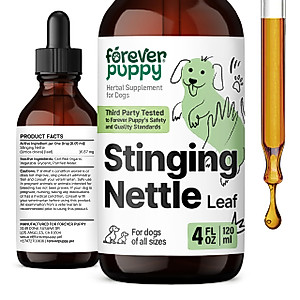 Stinging Nettle Leaf Drops for Dogs - Itching Skin Relief - Skin and Coat Supplement for Dog Health - Liquid Vitamins and Supplements for Soothing Itch Relief - Dog Skin Care - 4 oz
