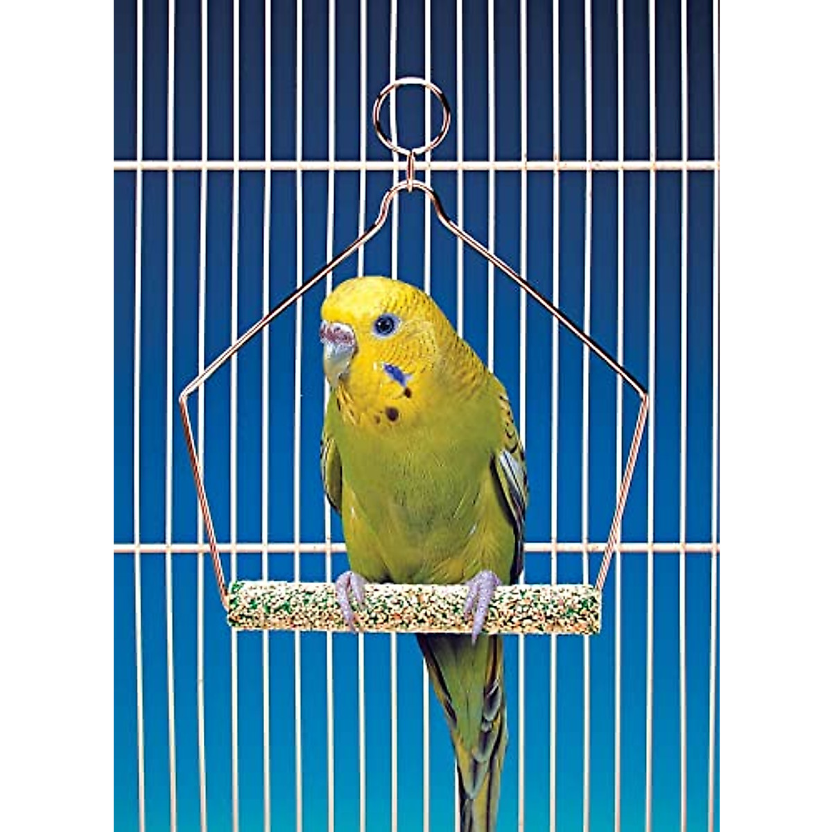 PENN-PLAX Bird-Life Trimmer Plus Cement Bird Swing – Naturally Trims Nails & Beak – Assorted Colors – 4” Wide