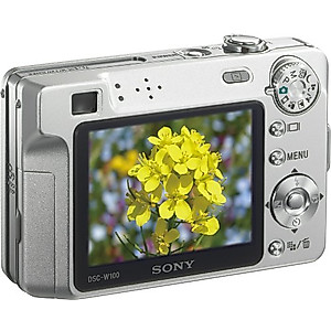 Sony Cybershot DSC-W100 8.1MP Digital Camera with 3x Optical Zoom