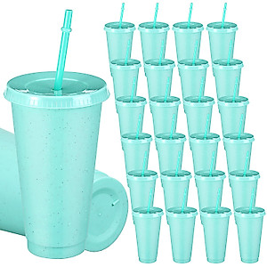 Roshtia 24 Pack Plastic Tumblers with Lid and Straw Reusable Cups Bulk Water Bottles Iced Coffee Travel Mug Cup for Birthdays Party Juices Adults Kids (24 OZ, Clear)