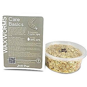 Josh's Frogs Waxworms (50 Count)