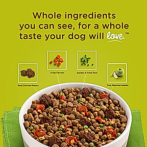 Rachael Ray Nutrish Dish Premium Dry Dog Food, Beef & Brown Rice Recipe with Veggies, Fruit & Chicken, 11.5 Pound Bag