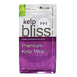 Kelp Bliss - Pure Kelp Meal - Organic Kelp Fertilizer for Growing Healthy Plants, Crops, and Gardens! Increases Fruit and Vegetable Yield! (1 lb)