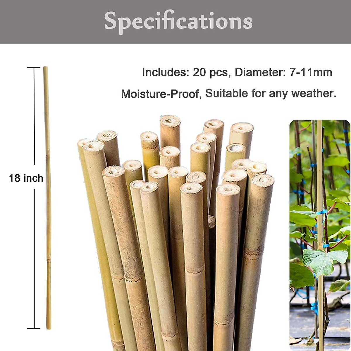 20 Pcs 18 Inch Natural Bamboo Plant Support Stakes for Indoor Plants, Bamboo Sticks Poles Garden Bamboo Stakes for Potted Plants, Tomato, Beans
