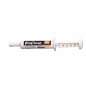 VitaCharge by Biozyme Oral Supplements (Clench Gel (Scours), 30 mL)