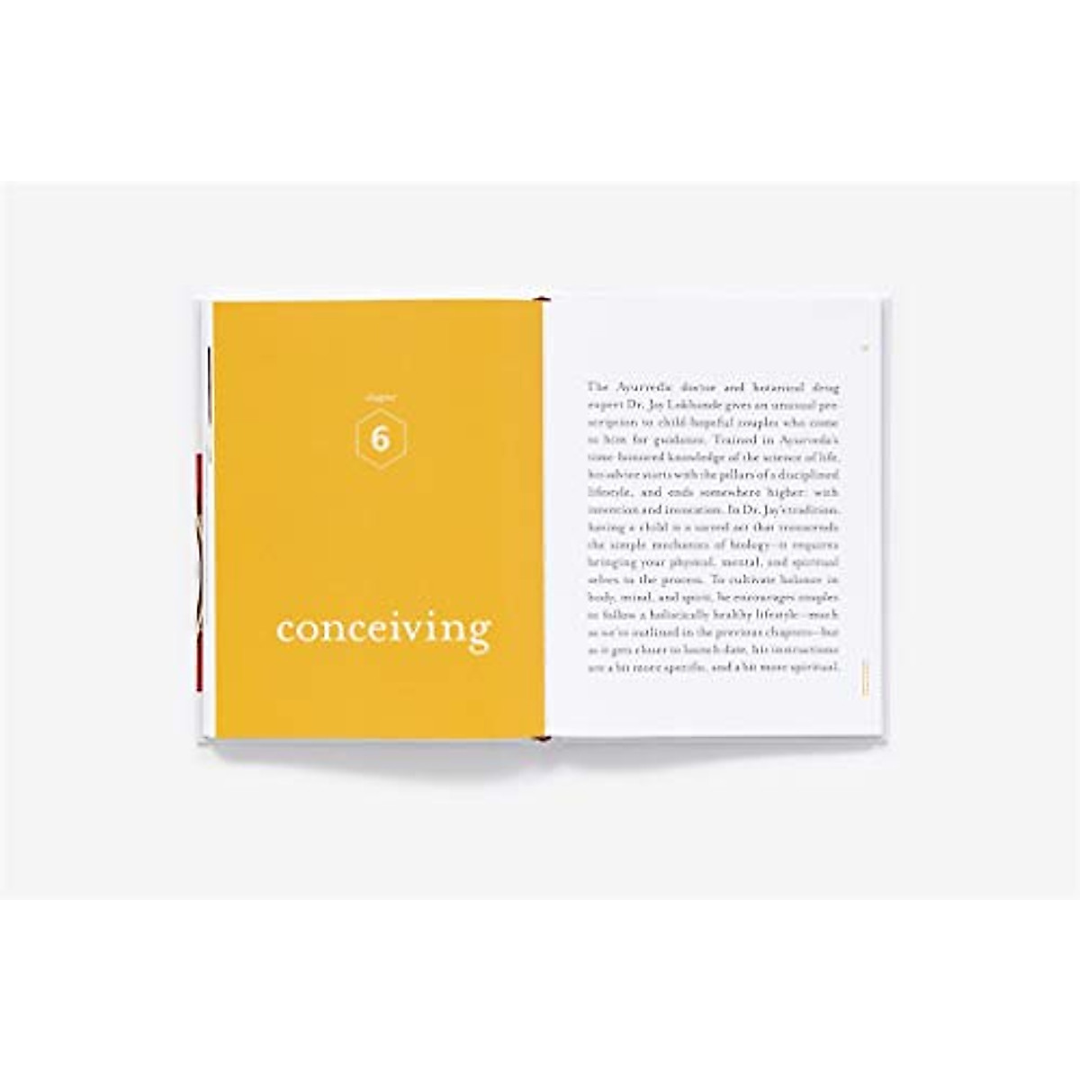 Awakening Fertility: The Essential Art of Preparing for Pregnancy by the Authors of the First Forty Days