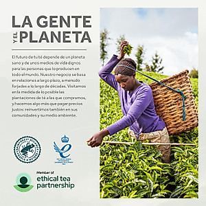 Taylors of Harrogate Yorkshire Gold, 160 Teabags