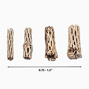SubstrateSource Natural Cholla Wood Logs - Driftwood for Aquariums, Fish Tanks, Shrimp, Hermit Crabs, Reptiles - 4 and 6 Inch Pieces (4 Inch (3 Pack))