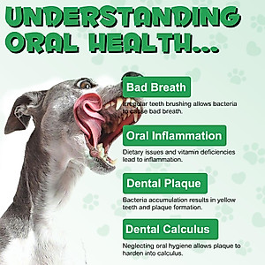 Oral Care Spray for Dogs, Pet Breath Dental Care Spray with Natural Ingredients, Dog Breath Freshener for Bad Breath, Plaque and Tartar, Pet Health Supplies Teeth Treatment Spray - 5.1 Fl Oz / 150ml