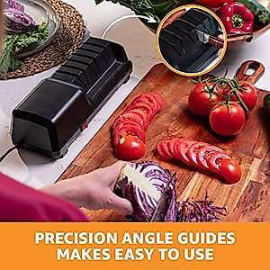 Electric Knife Sharpener for Kitchen Knives, Powerful Motor with Precision Guides and Professional Diamond Abrasives, Expert Automatic Angle Detection For Sharper Knives