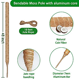 Moss Pole, 48 Inch Bendable Monstera Plant Support, Moss Poles for Climbing Plants Accessories Indoor, Coir Plant Pole Sticks Support Stakes for Potted Plants, Pothos, Philodendron, PlantPolex