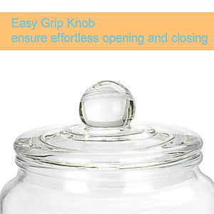 Laundry Detergent Dispenser, Derergent Pods Container for Laundry Room Organization, Glass Jars for Laundry Storage