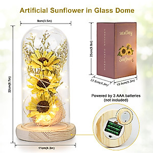 Sunflower Gifts for Women, Sunflowers Artificial Flowers in Glass Dome with LED Strip, Birthday Gifts for Mom & Grandma, Sunflower Decor on Mother's Day, Christmas, Valentine's Day (Yellow)