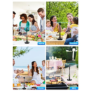 TOPK 4 Pack Fly Fans for Tables, AA Battery Powered Portable Scalable Indoor Outside Food Fly Fan for Picnic, Party, Restaurant, Kitchen and BBQ