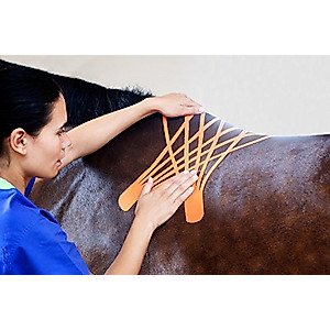 VETKIN VetkinTape® Veterinary Kinesiology Tape Orange | Kinesiology Tape for Horses & Dogs | Equine & Canine Kinesiotape | Latex Free and TÜV Quality Mark Certified Ktape | 1.2 inch | Pack of 2 Rolls