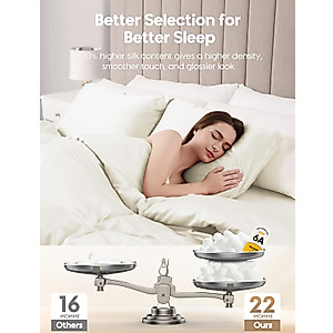 100% Pure Mulberry Silk Pillowcase for Hair & Skin - 22 Momme 6A High-Grade Fibers - Anti-Aging, Anti-Sleep Crease, Cooling Satin Pillowcases with Hidden Zipper, Best Gift Idea (Standard 20x26 Inches)