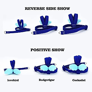 Budgerigar Harness and Leash, Adjustable Parrot Bird Training Design Anti-Bite, Bird Nylon Rope with Cute Wing for Budgerigar and Same Size Birds (S, Blue)