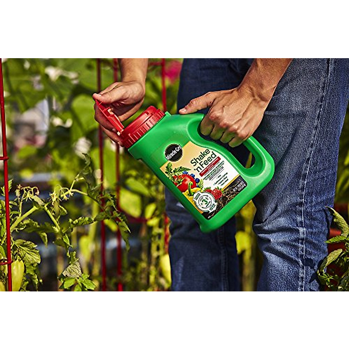 Miracle-Gro Shake 'N Feed Tomato, Fruit & Vegetable Plant Food, Plant Fertilizer, 4.5 lbs.