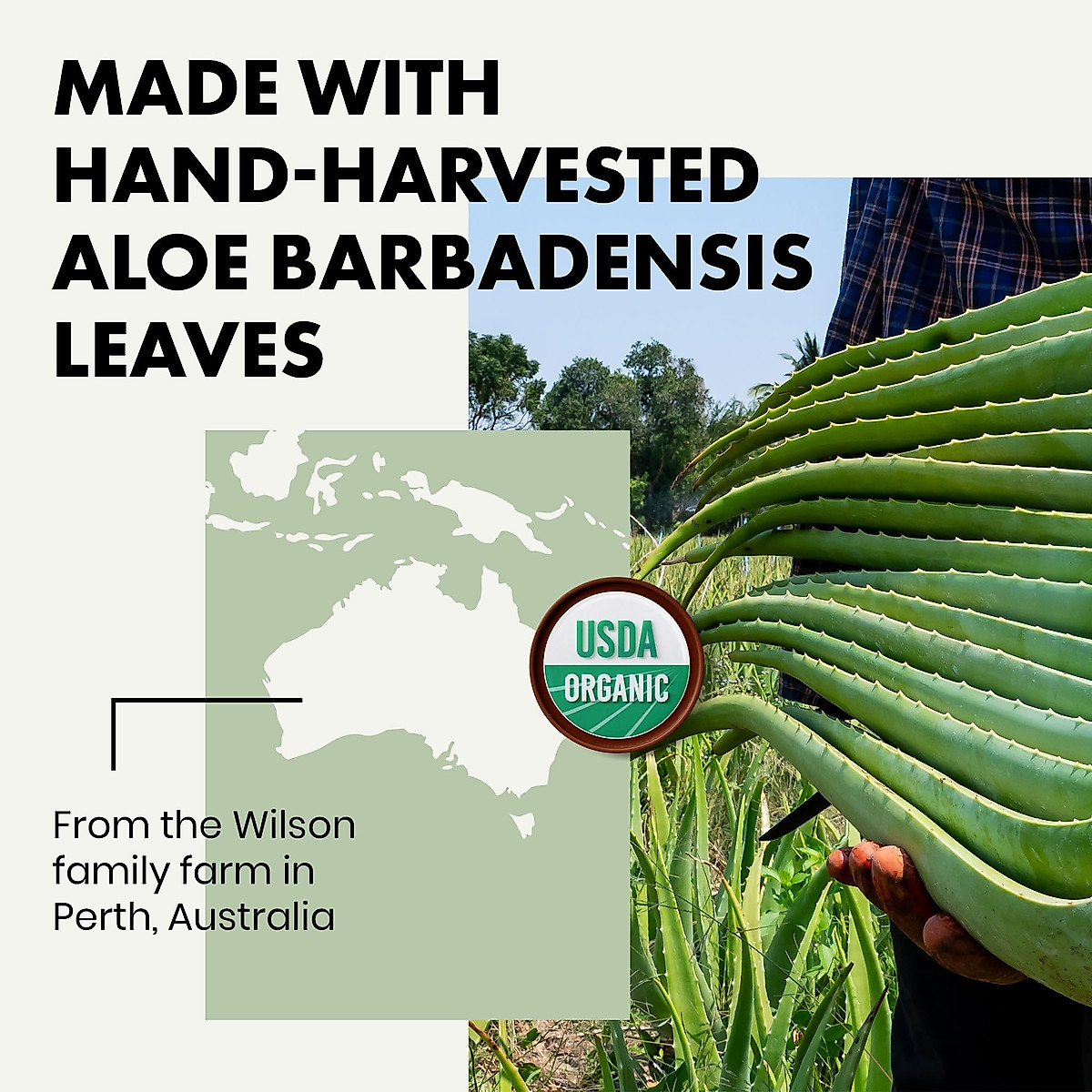 100% Aloe Vera Gel - Pure Aloe Vera Gel, Cooling & Soothing for Face and Skin - Organic Aloe Vera Gel for Sunburn Relief, Natural Hydrating Aloe Gel, Cold Pressed Aloe Vera Gel - Face Moisturizer