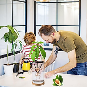 Bylion Avocado Tree Growing Kits, Avocado Growing Vase Wooden Base Avocado Seed Starter Vase Glass Plant Pot Easy Seed Sprout Starter Gift for Women Gardening Lovers Home Office Table Decoration