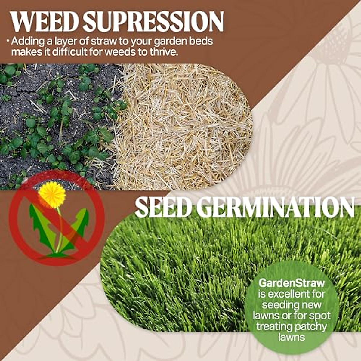 HealthiStraw GardenStraw, 3 cu ft, All-Natural Mulch for Vibrant Gardens, Vegetables Lawn Seeding - Water-Conserving, Weed-Suppressing Wheat Straw - Sustainably Sourced, Thoroughly Cleaned