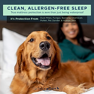 UltraBlock Ultra Plush Waterproof Mattress Protector (RV Short Queen) – Breathable, Vinyl Free, Noiseless Mattress Cover, Fitted Style with Deep Pockets (12-15"), RV Accessories for Travel Trailers