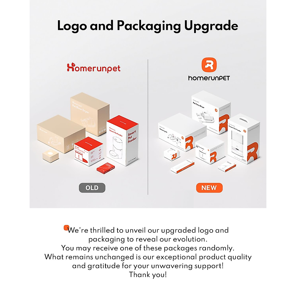 Silent Cat Water Fountain, HomeRunPet Pet Fountain with Wireless-Pump, Small-Dog Water Dispenser, Dual Mode, Quick Assembly & Easy-Clean, Filters Included, 68 oz/2L