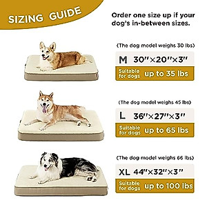 Lesure Orthopedic Dog Beds for Medium Dogs - Egg Crate Foam Puppy Bed with Ultra Soft Sherpa Surface&Removable Cover, Machine Washable Waterproof Dog Bed with Non-Slip Bottom(Curds&Whey,30x20x3inch)