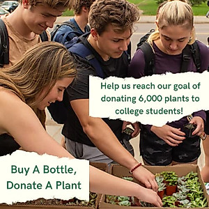 Perky Plant | Water Soluble Organic House Plant Food Fertilizer | Formulated for Live Indoor House Plants | Simply Shake in Watering Can or Plant Pots