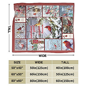 Socira Flannel Throw Blanket,Red Christmas Birds Patchwork Small Fleece Sofa Blanket,Comfy Camping Lap Blanket,Super Soft Thin Noon Break Blanket for Office Home Car 40''X50''