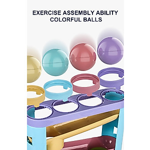 MEIJIABA Toys for 2 Year Old Boys, Toddler Sensory Educational Toys Age 2-4, Montessori Toys for Babies 18 Months, Girls Boys Early Learning Stacking Pound A Ball Hammer Birthday Gifts