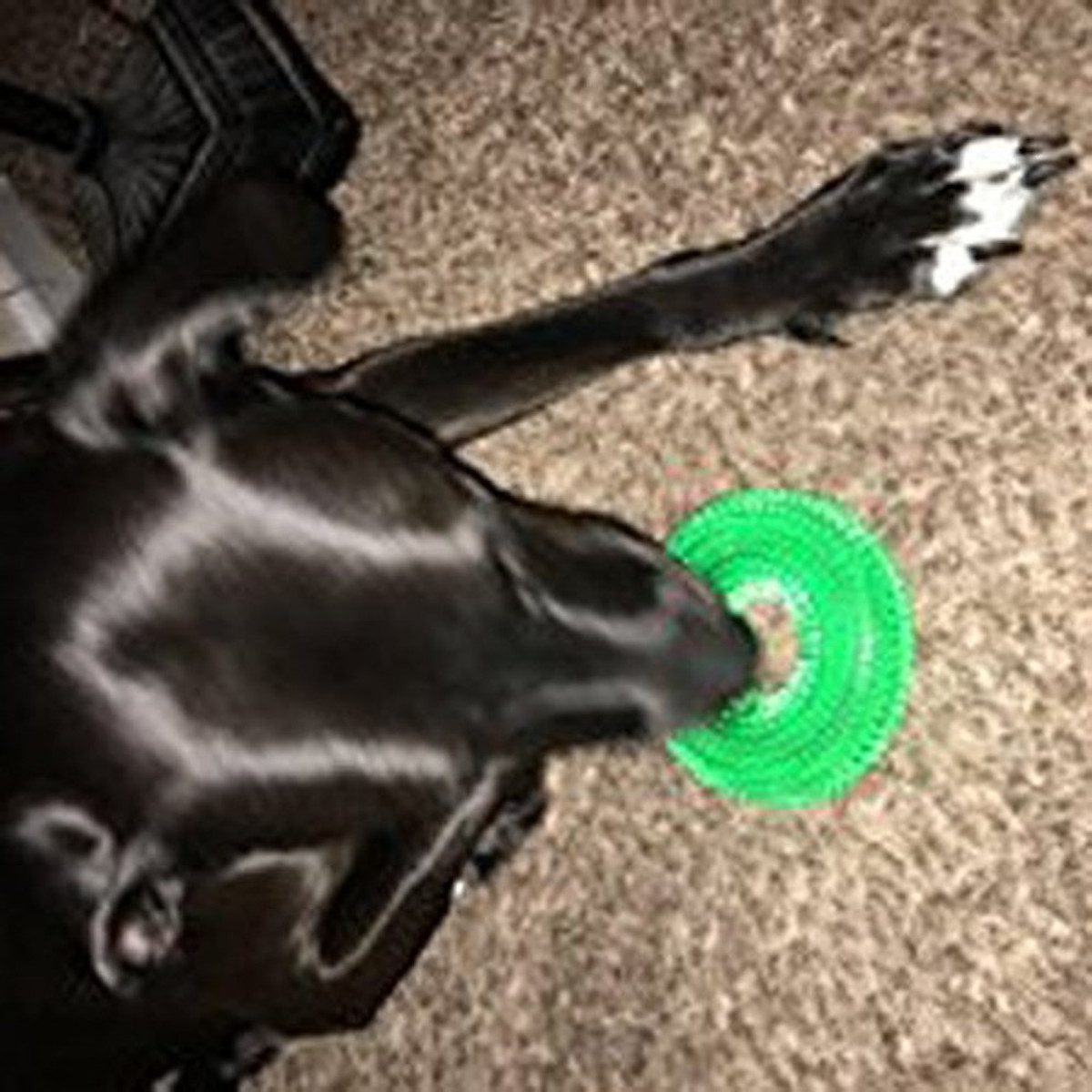 ADUCK Dog Squeaky Chew Toys for Aggressive Chewers Dental Teething Cleaning [Non-Toxic Soft Natural Rubber], Cute Crystal Ring Design -4.92 inches (Crystal Green)