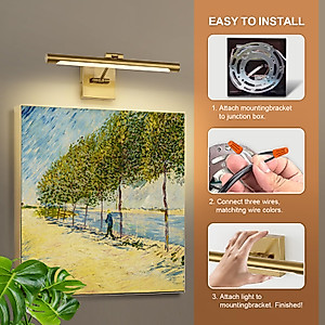 Joosenhouse LED Picture Light Fixtures Dimmable 16.53" Inch Modern Metal Artwork Hallway Lamps with Single Swing Arm, 7W (50W Eqv.), Hardwired Connection, Warm White, CRI80+, Golden-Like Brass Finish