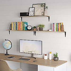 Wallniture Arras 36" Floating Shelves for Wall Storage, Bookshelf Living Room Decor, Bedroom & Kitchen Organization, Office Decor, Wall Shelf Set of 3