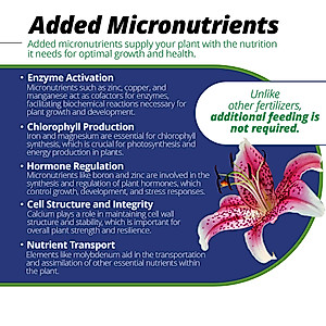 Jack's Classic 20-20-20 All Purpose Water-Soluble Fertilizer with Micronutrients to Provide General Growth on All Plants, 10lbs