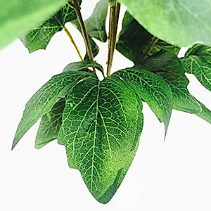 HoveBeaty Artificial Peony Silk Flowers Bouquet Home Wedding Decoration, 1 Pack, 5 Heads(Pink)