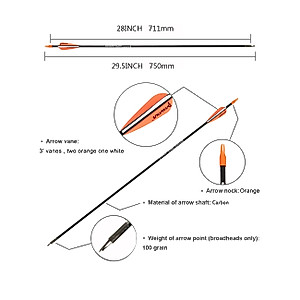 PANDARUS Archery 28" Fiberglass Archery Target Practice Arrows, for Children, woman or Beginner, for Recuve Bow(Pack of 12) …