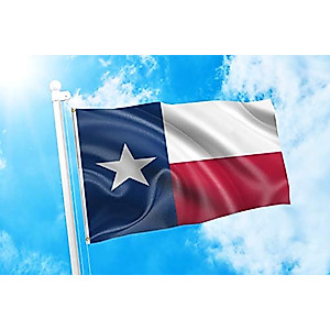 DMSE Texas Lone Star State Flag 2X3 Ft Foot 100% Polyester 100D Flag UV Resistant (2' X 3' Ft Foot)