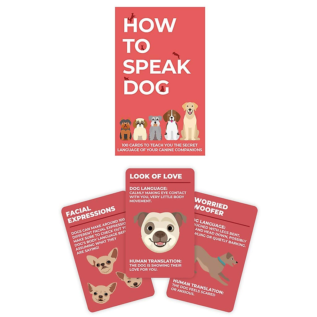 Gift Republic How To Speak Dog 100 Cards Fun Gift for Dog Lovers Learn What Your Puppy is Saying Dog Behaviour Guidance Cards Doggie Language