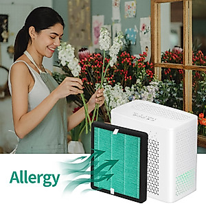 GoKBNY 4-Pack R1/P1801/P1802 True HEPA Replacement Filter Compatible with YIOU Purifier R1/P1802 & Elechomes Purifier P1801, 3-in-1 Filters- Deep Green