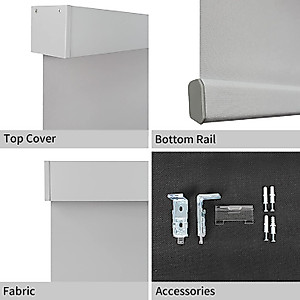 CALYX INTERIORS Blackout Roller Shade with Valance, Thermal Insulating Blind, Cordless, 34" W x 60" H, Light Gray