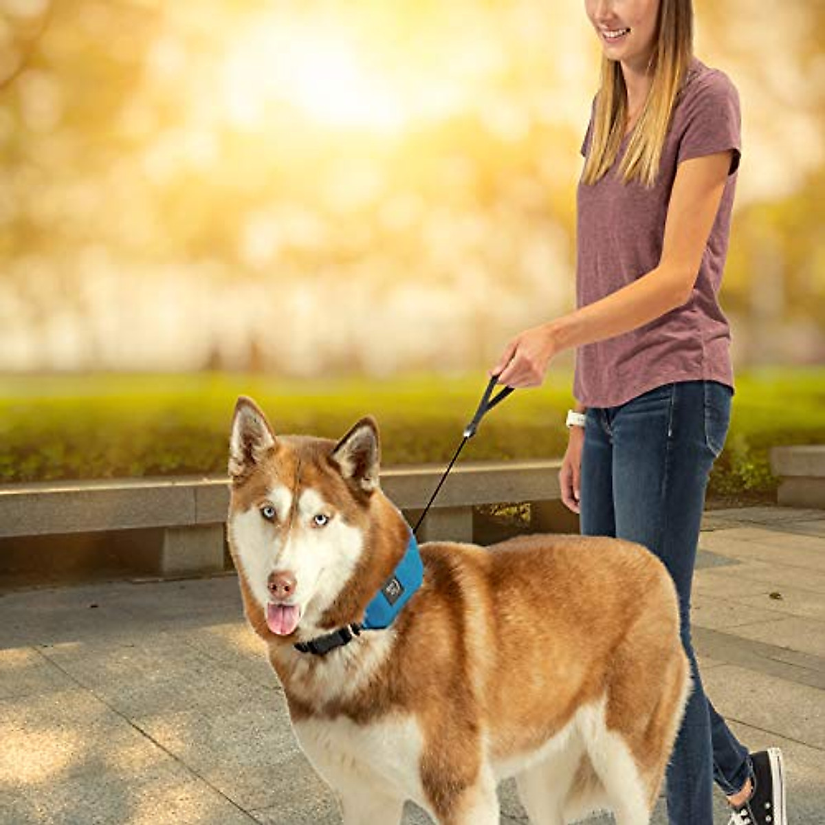 Nite Ize Raddog All-in-One Collar + Leash Combo, Dog Collar with Built-in Retractable Leash, Blue, Large 16"-20"